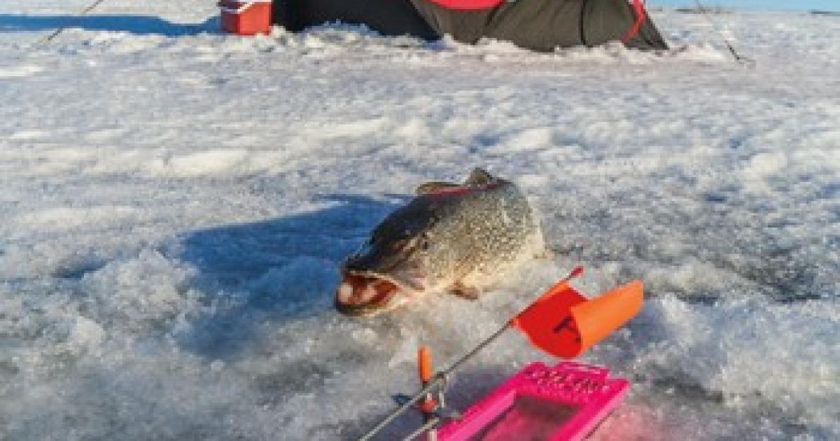 Gabubu Bread | North Dakota Living